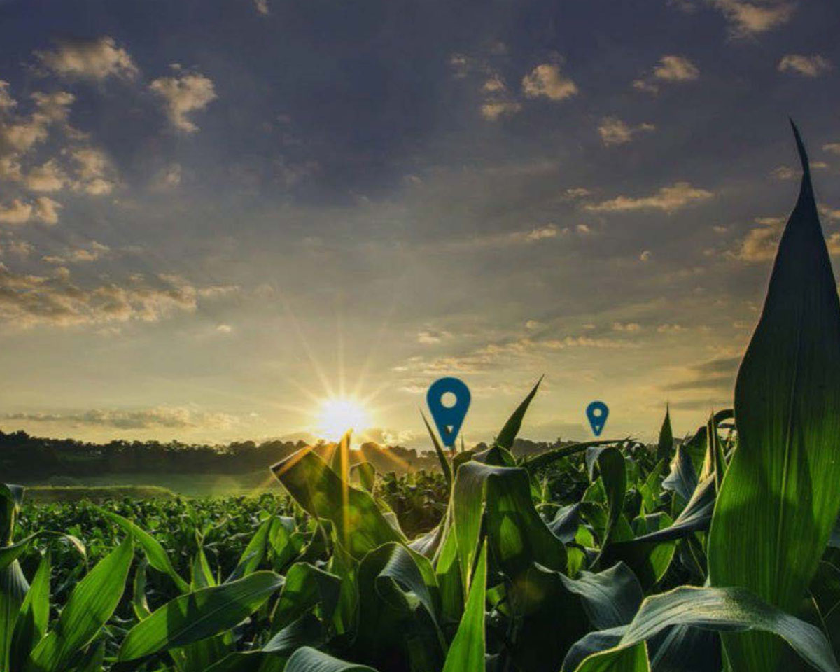 Regenerative Agriculture | RAMP