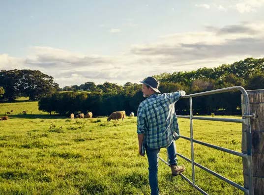 Increasing biodiversity on the farm | RAMP